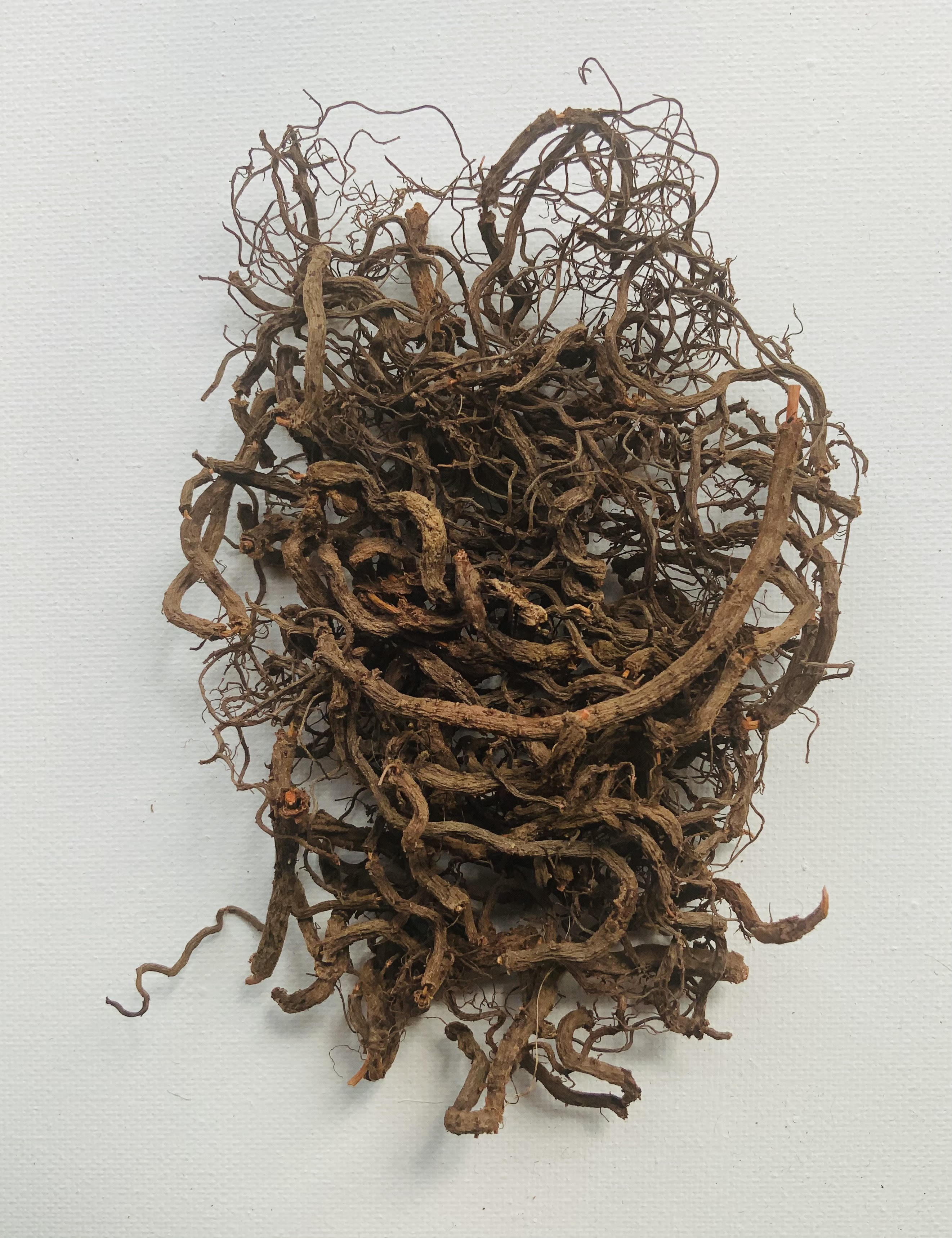 Exploring the Madder Root – HERD