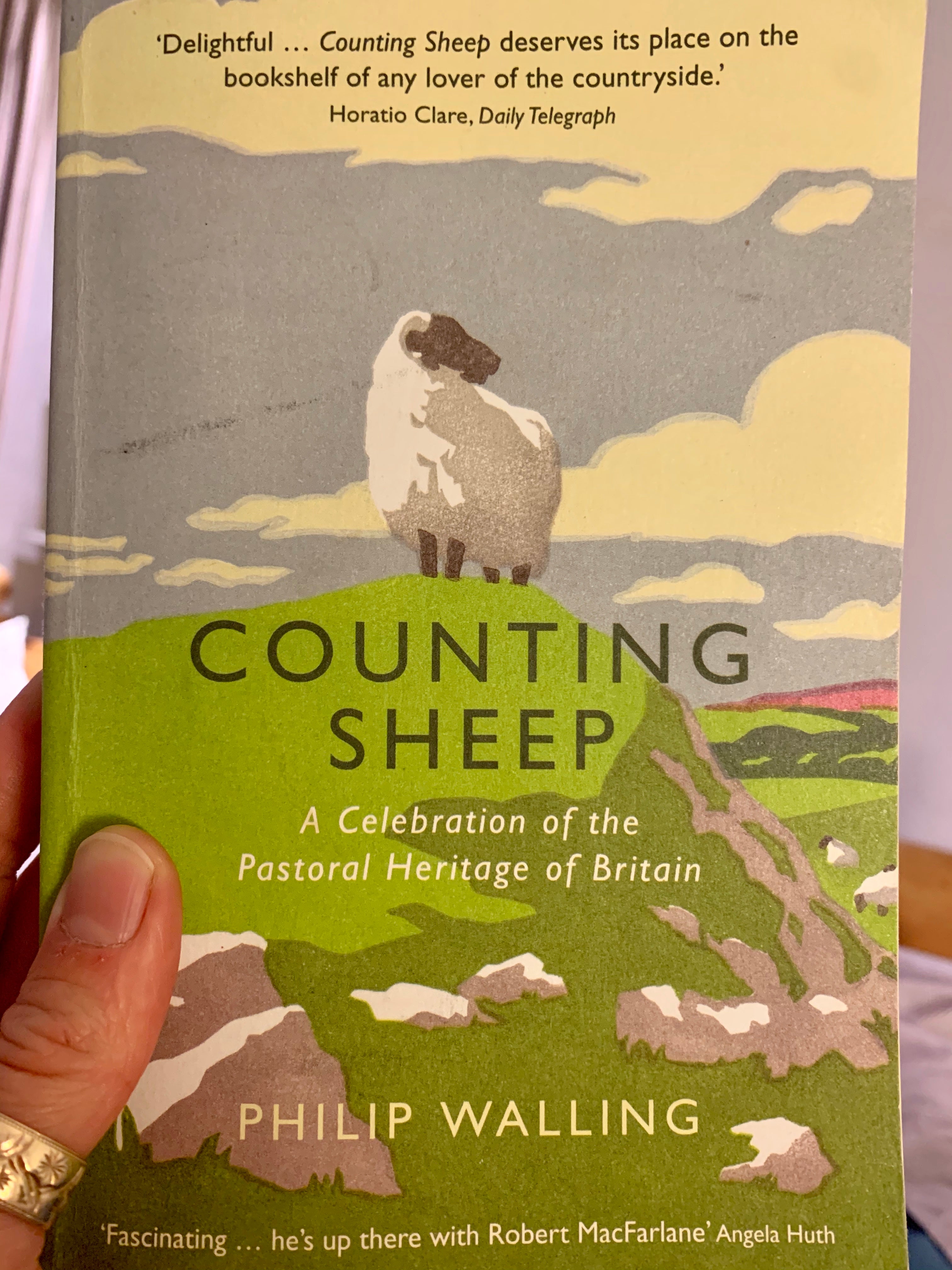 Counting Sheep by Philip Walling, pub. 2015 – HERD